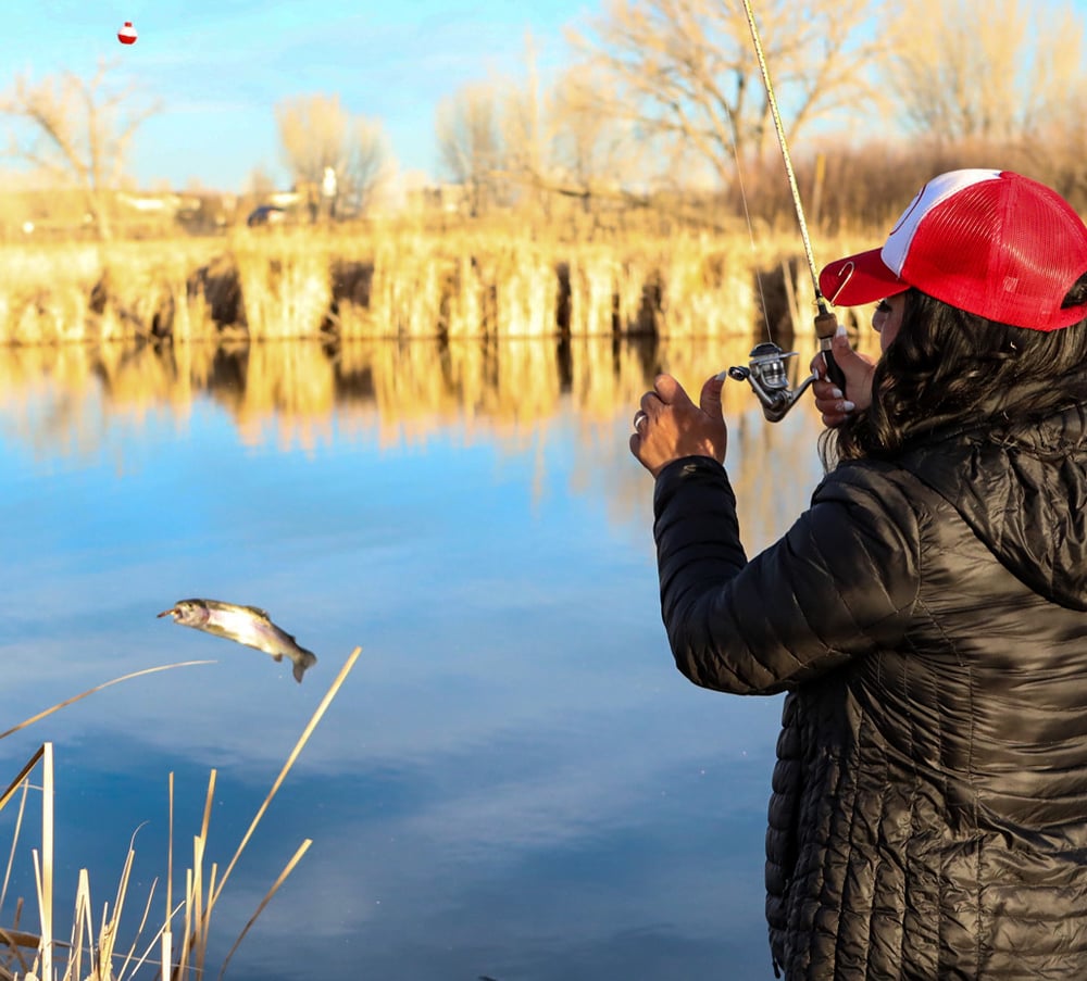 Lets Go Fishing: Best Fish For Beginners