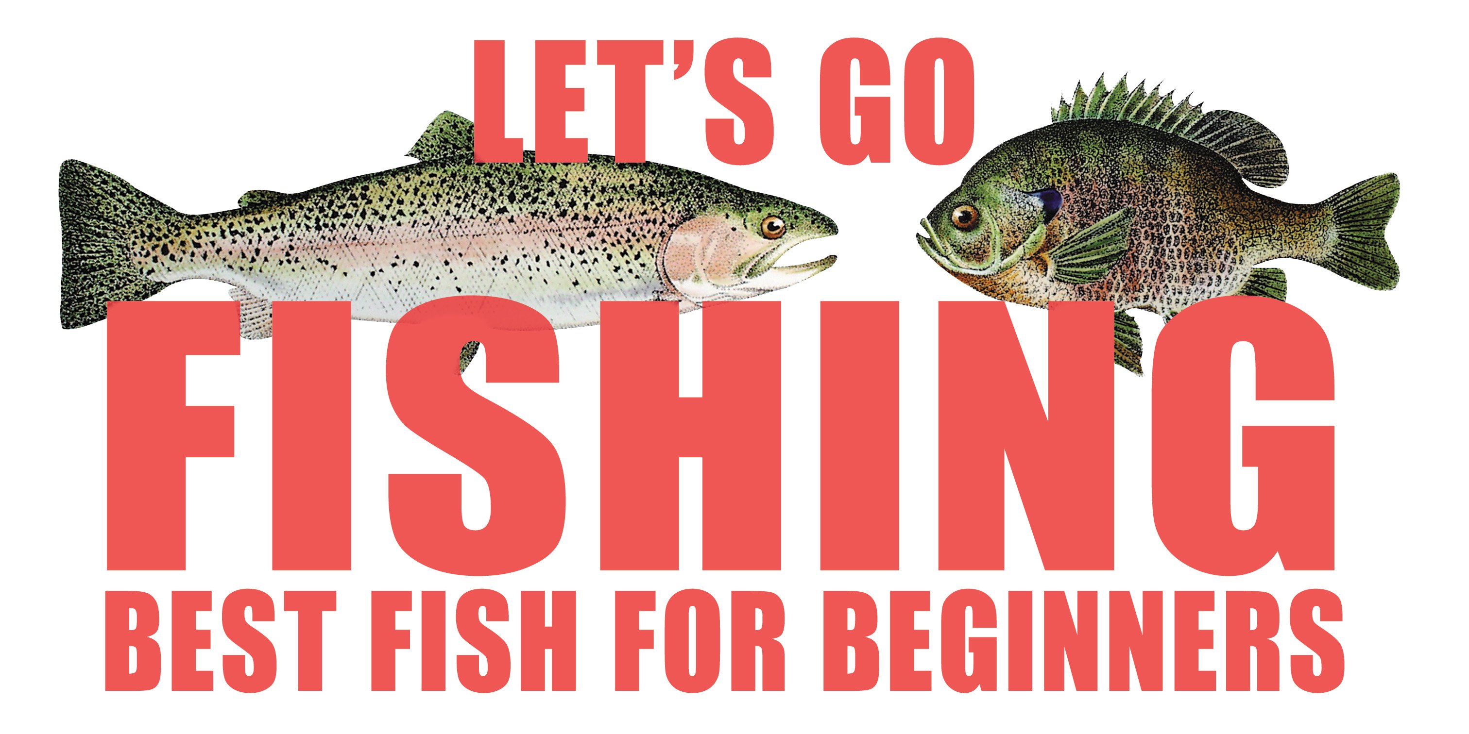 Lets Go Fishing: Best Fish For Beginners